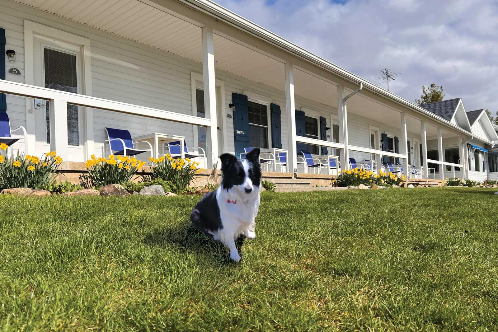 Accommodations - Shore Acres Inn & Restaurant